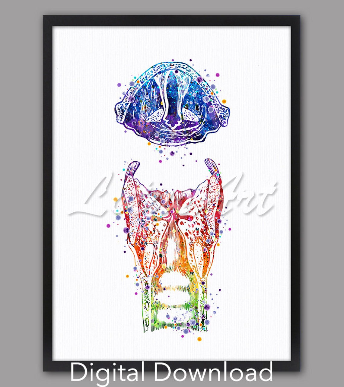 DIGITAL DOWNLOAD Larynx and Vocal Cords Anatomy Watercolor Art | Etsy