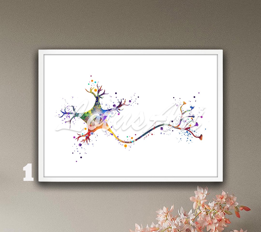Neuron Art Brain Cell Anatomy Poster Framed Watercolor Print Neurology ...