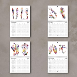 2026 Anatomy Wall Calendar: Medical Watercolor Art, Doctor Gift - Etsy