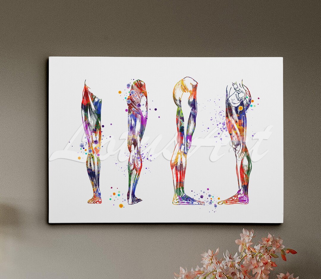 Leg Art Muscles Anatomy Watercolor Canvas Print Medical Clinic Wall Art ...