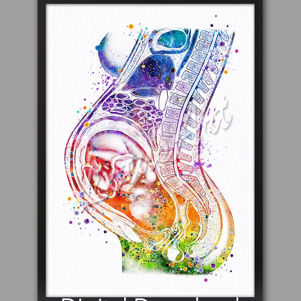 Fetus Art - Etsy