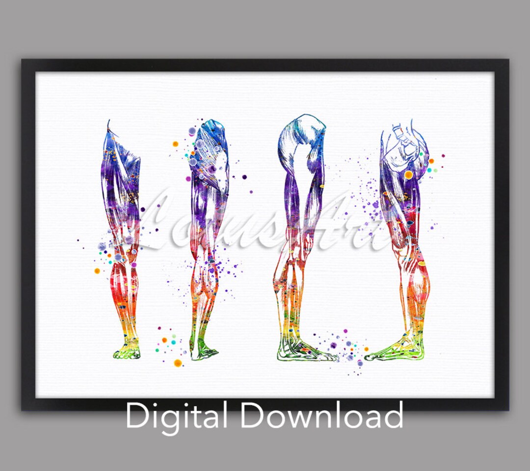 DIGITAL DOWNLOAD Human Leg Muscles Art Anatomy Poster Clinic Wall Decor ...