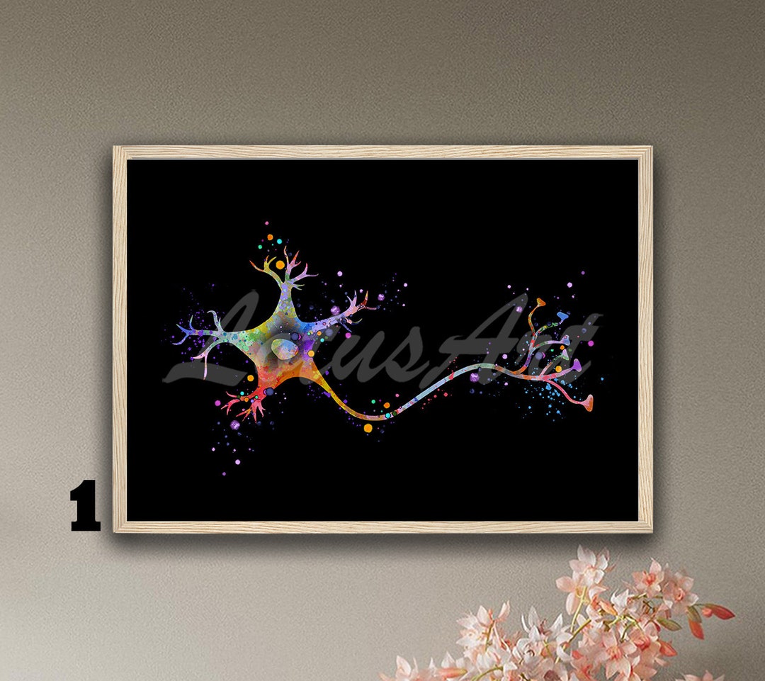Neuron Art Brain Cell Anatomy Framed Poster Black Background Neurology ...