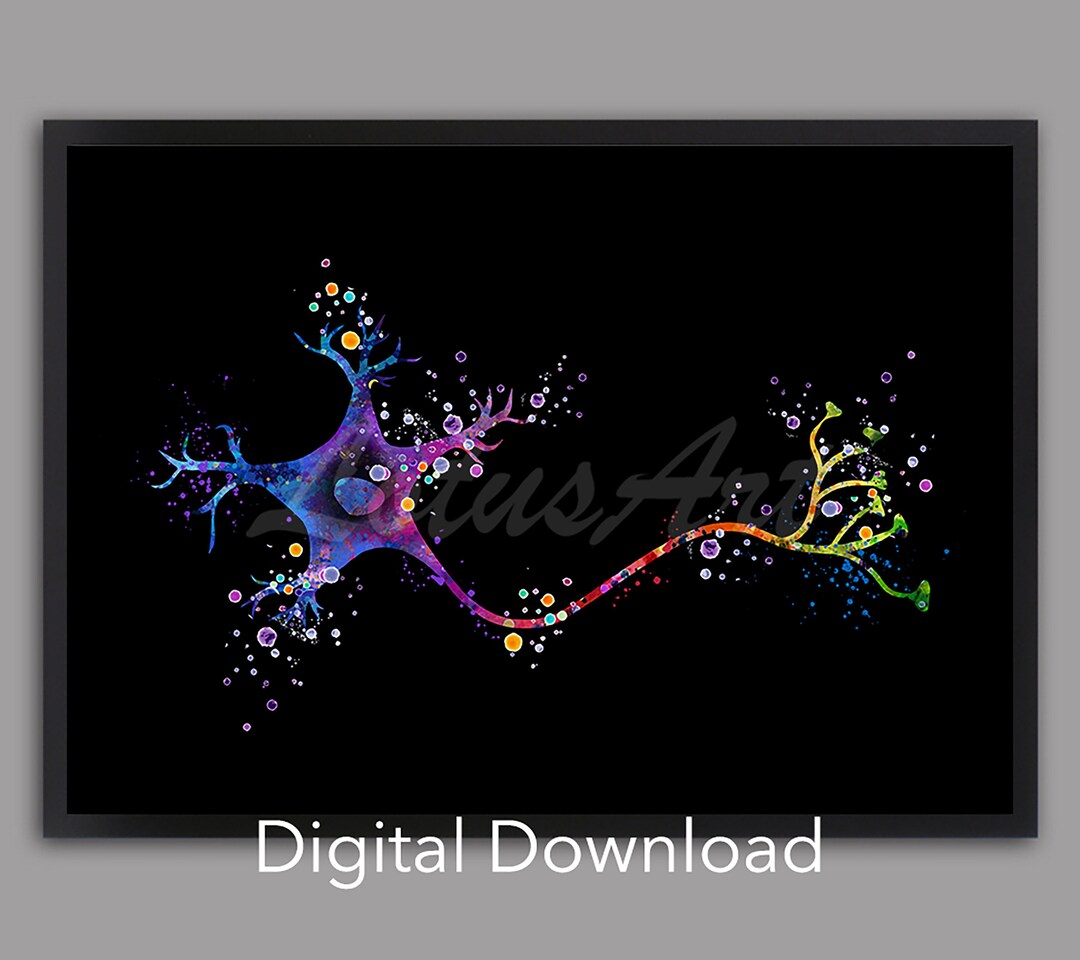 Neuron Brain Cell Anatomy Poster Watercolor Art Print Neurology Medical ...