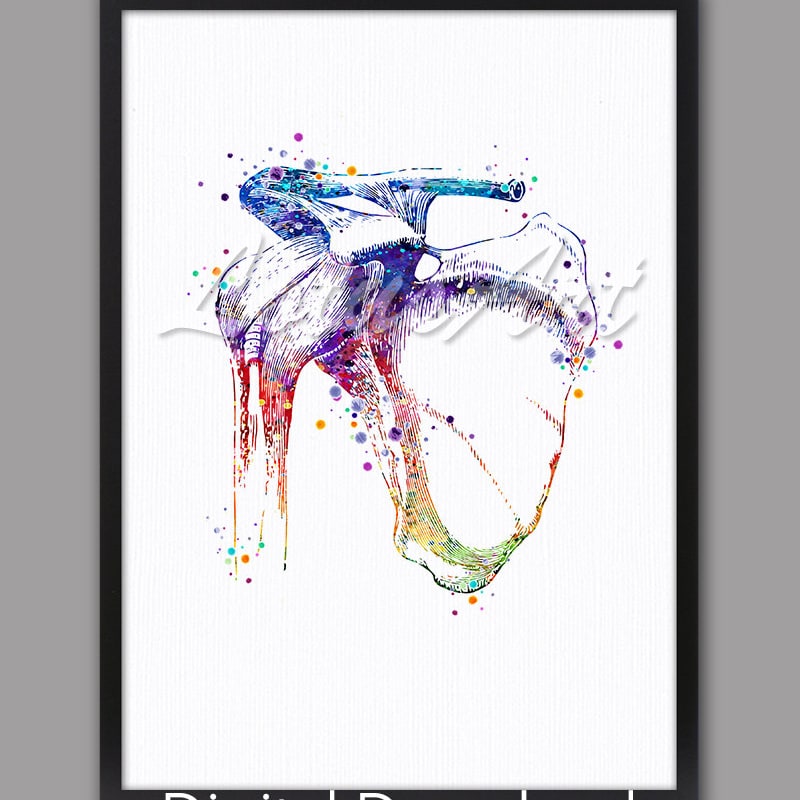 Anatomy Bones Art Print - Etsy UK