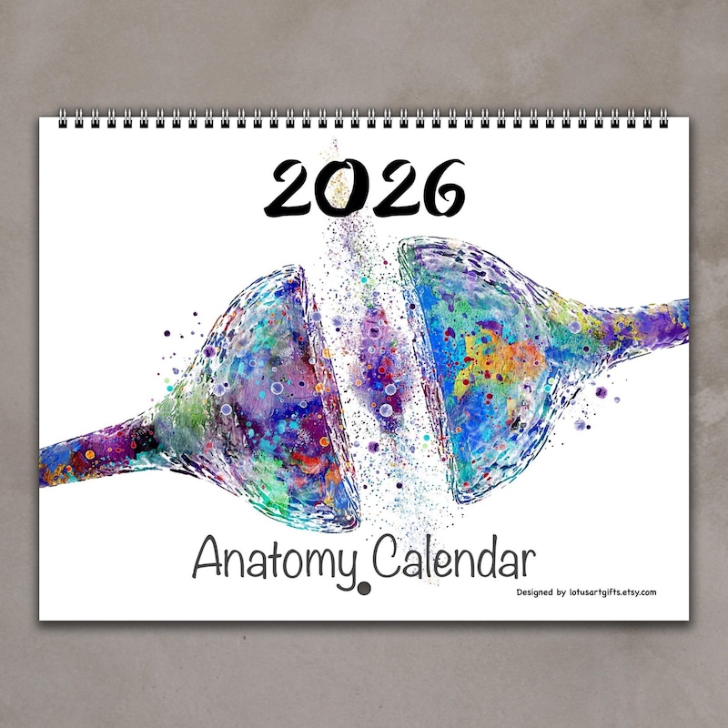 Anatomy Wall Calendar - Etsy