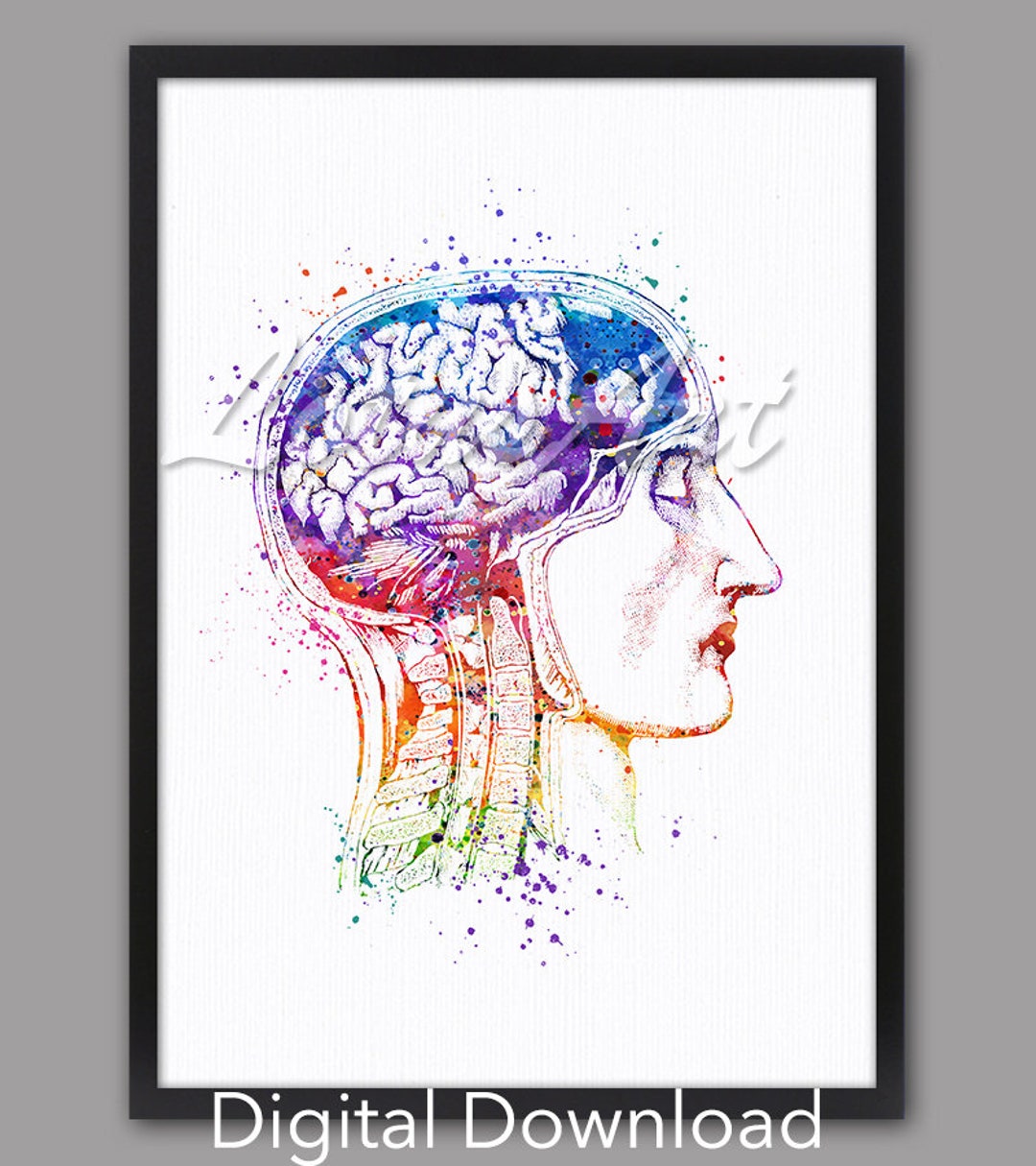 DIGITAL DOWNLOAD Human Brain in Head Anatomy Art Medical Watercolor ...