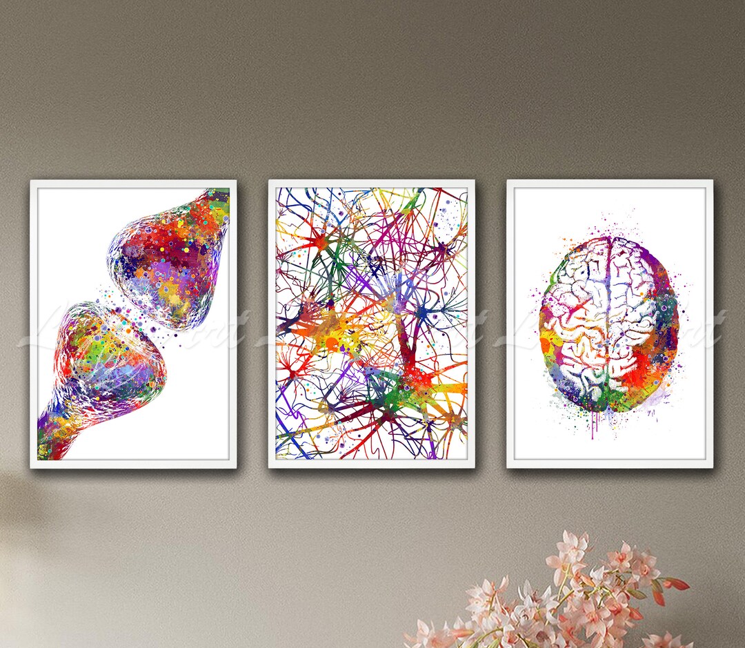 Synapse Receptor Neuron Brain Anatomy Watercolor Wall Art Print Set of ...