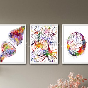 Synapse Receptor Neuron Brain Anatomy Watercolor Wall Art Print Set of ...