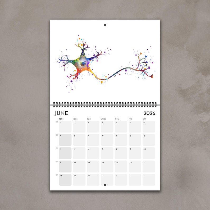 2026 Anatomy Wall Calendar: Medical Watercolor Art, Doctor Gift - Etsy