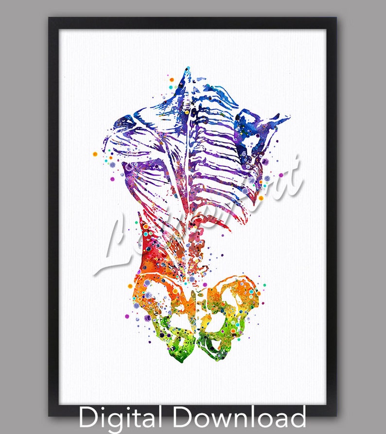 DIGITAL DOWNLOAD Human Back Bones Muscles Art Watercolor Print | Etsy