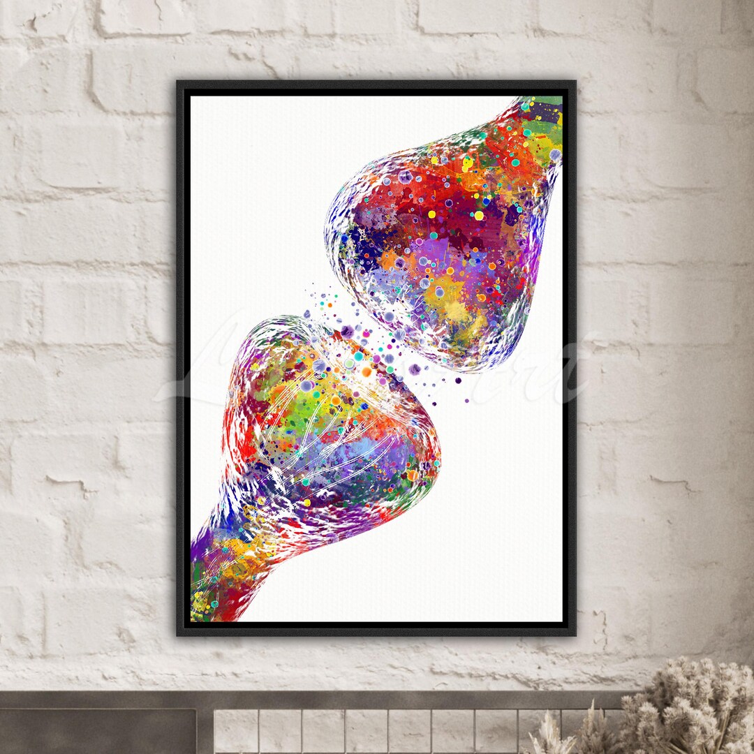 Synapse Brain Nerve Cell Anatomy Art Canvas Print Doctor Office Decor ...