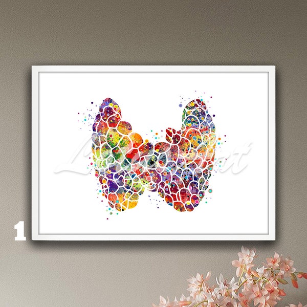 Thyroid Anatomy Poster - Etsy