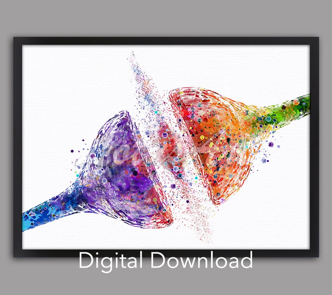 DIGITAL DOWNLOAD Synapse Receptor Brain Nerve Cell Science Art Anatomy ...