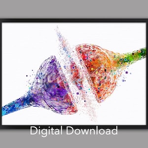 DIGITAL DOWNLOAD Synapse Receptor Brain Nerve Cell Science Art Anatomy ...