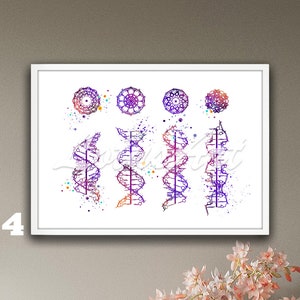 DNA Helix A-B-C-Z Medical Wall Art Framed Prints Genetic Doctor Gifts ...