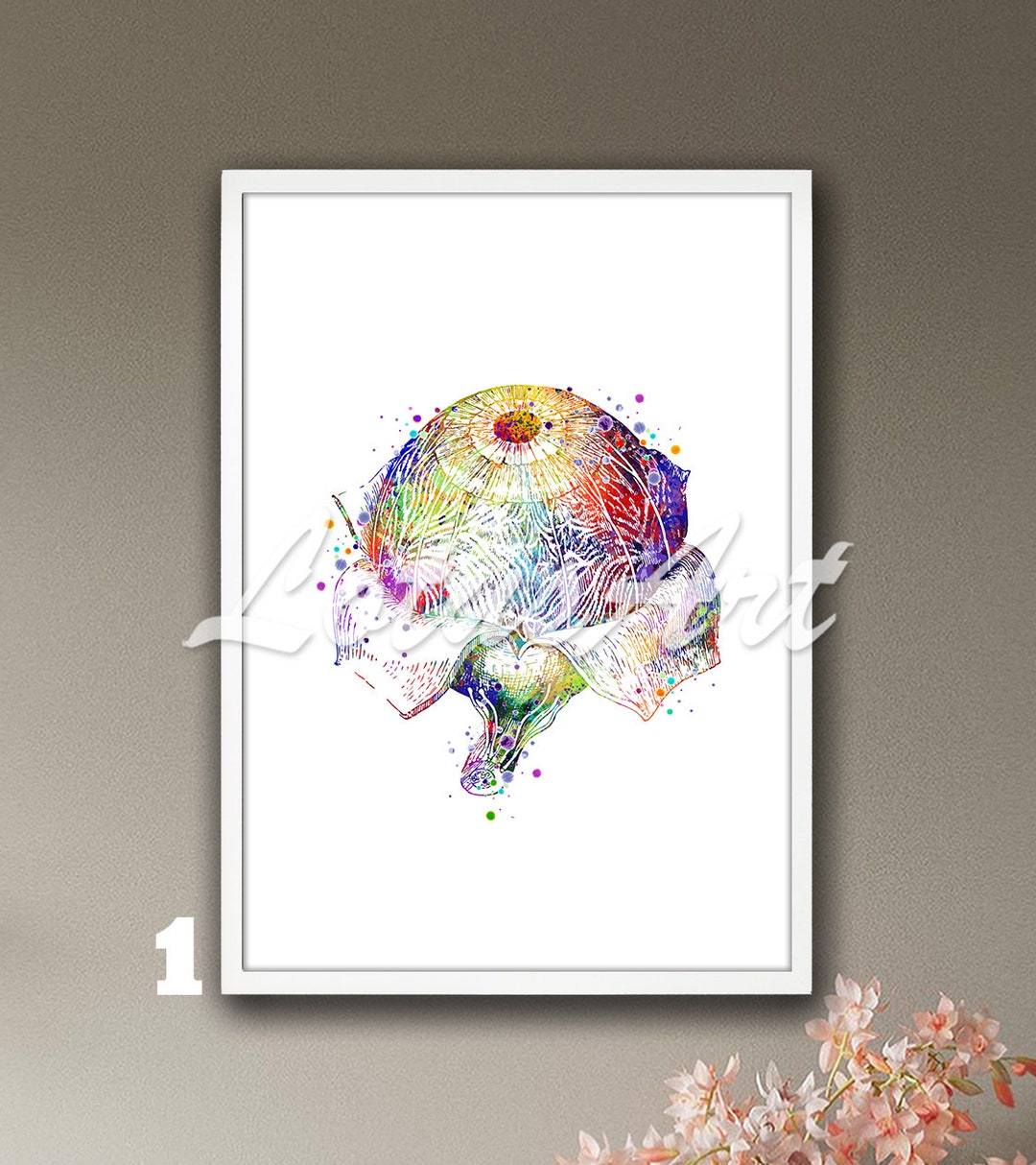Eye Anatomy Framed Wall Art Eyeball Medical Watercolor Print Optician ...