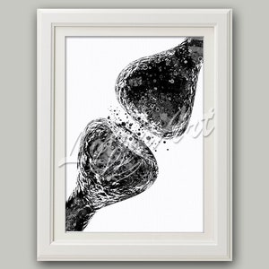 Synapse Receptor Science Art Watercolor Print Anatomy Poster - Etsy