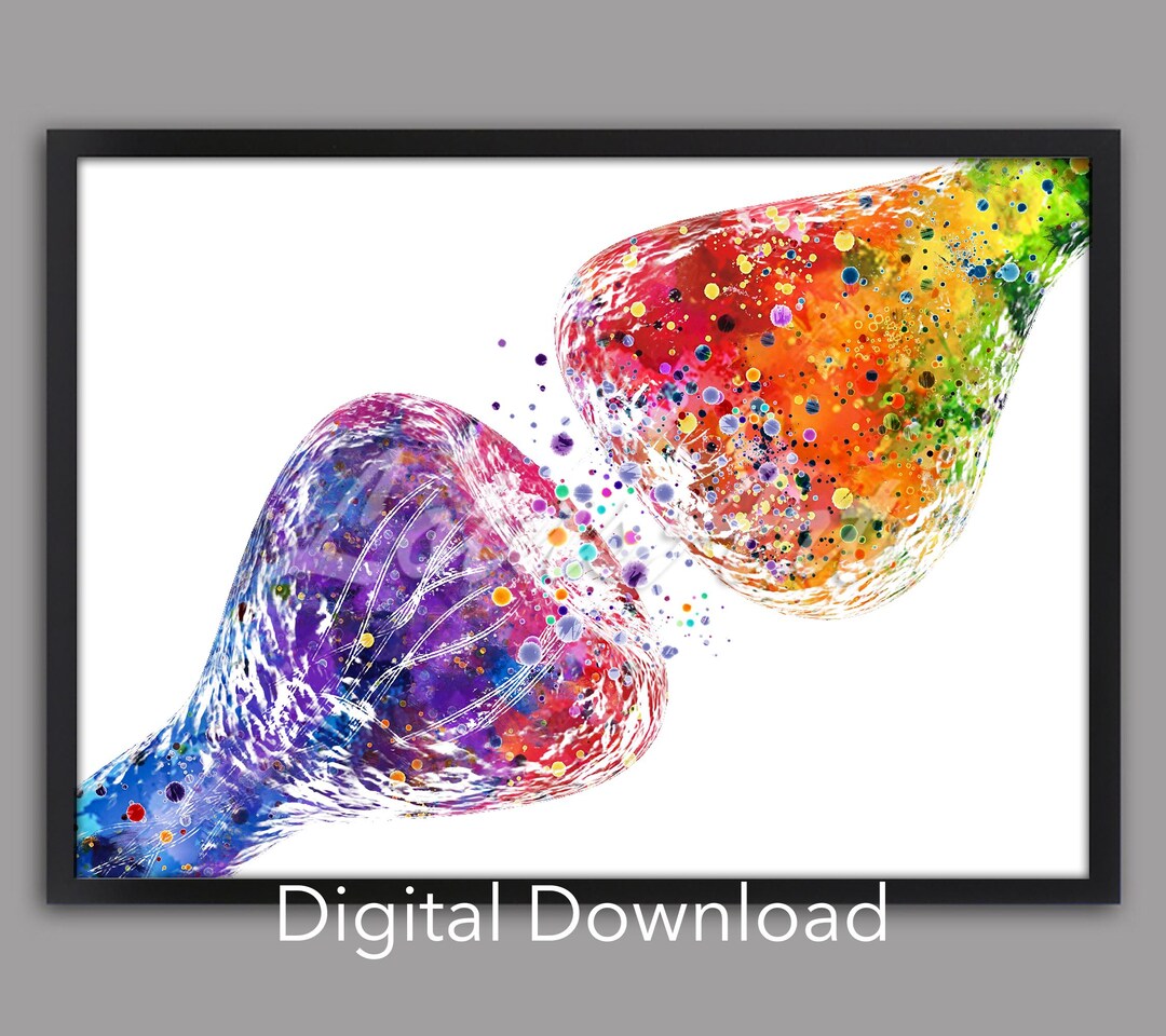 Watercolor Synapse Print: Brain Cell Anatomy Art (digital Download) - Etsy UK