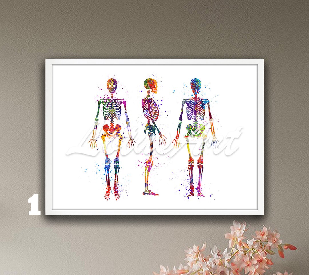 Watercolor Human Skeleton Print: Framed Medical Anatomy Art - Etsy