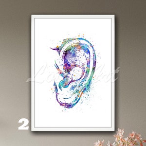 Human Ear Anatomy Art Watercolor Framed Print ENT Doctor Office ...