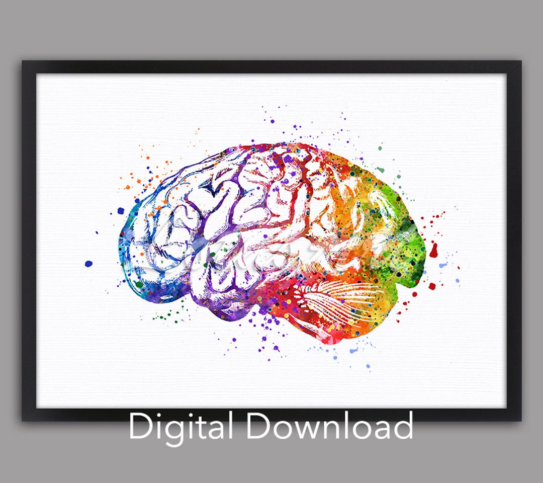 Brain Wall Art Anatomy Decor Medical Print Watercolor Neurology Doctor ...