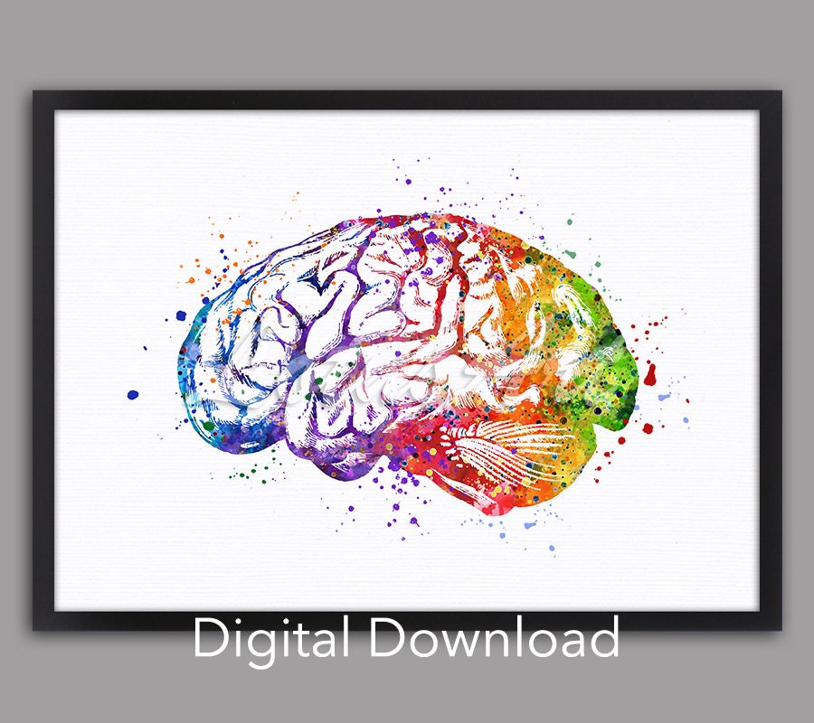 Watercolor Brain Anatomy Art Print: Neurology Gift (digital Download ...