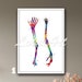 Arm Bones Framed Wall Art Watercolor Print Anatomy Humerus - Etsy