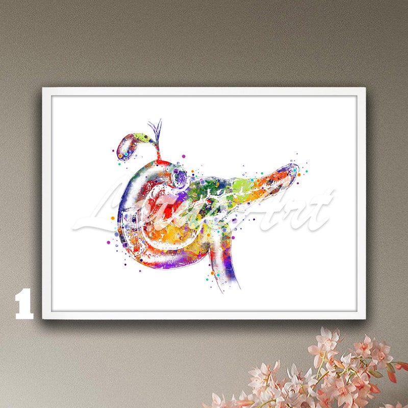 Pancreas Surgery Gift - 60+ Gift Ideas for 2025