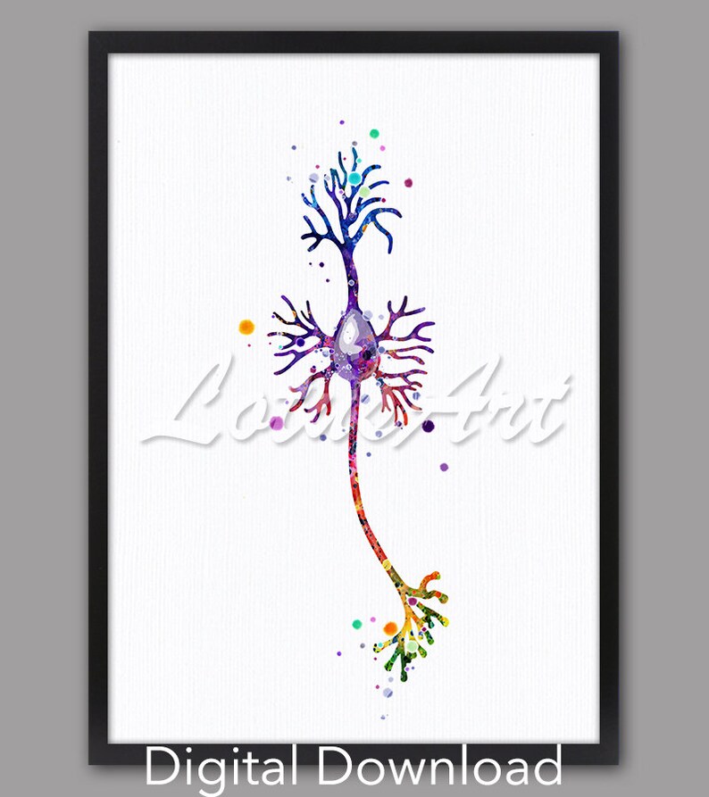 Neuron Cell Anatomy Art Print: Multipolar Pyramidal Decor (digital ...