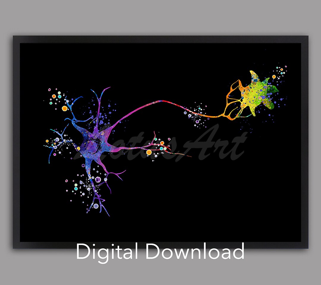 Neuron Cell Watercolor Print: Brain Anatomy Art (digital Download) - Etsy