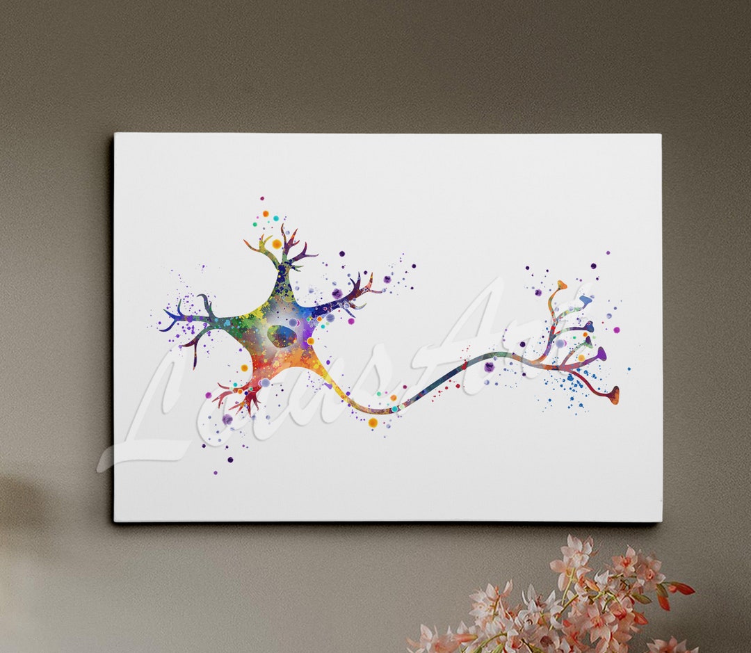 Neuron Wall Art Brain Cell Anatomy Canvas Watercolor Print - Etsy