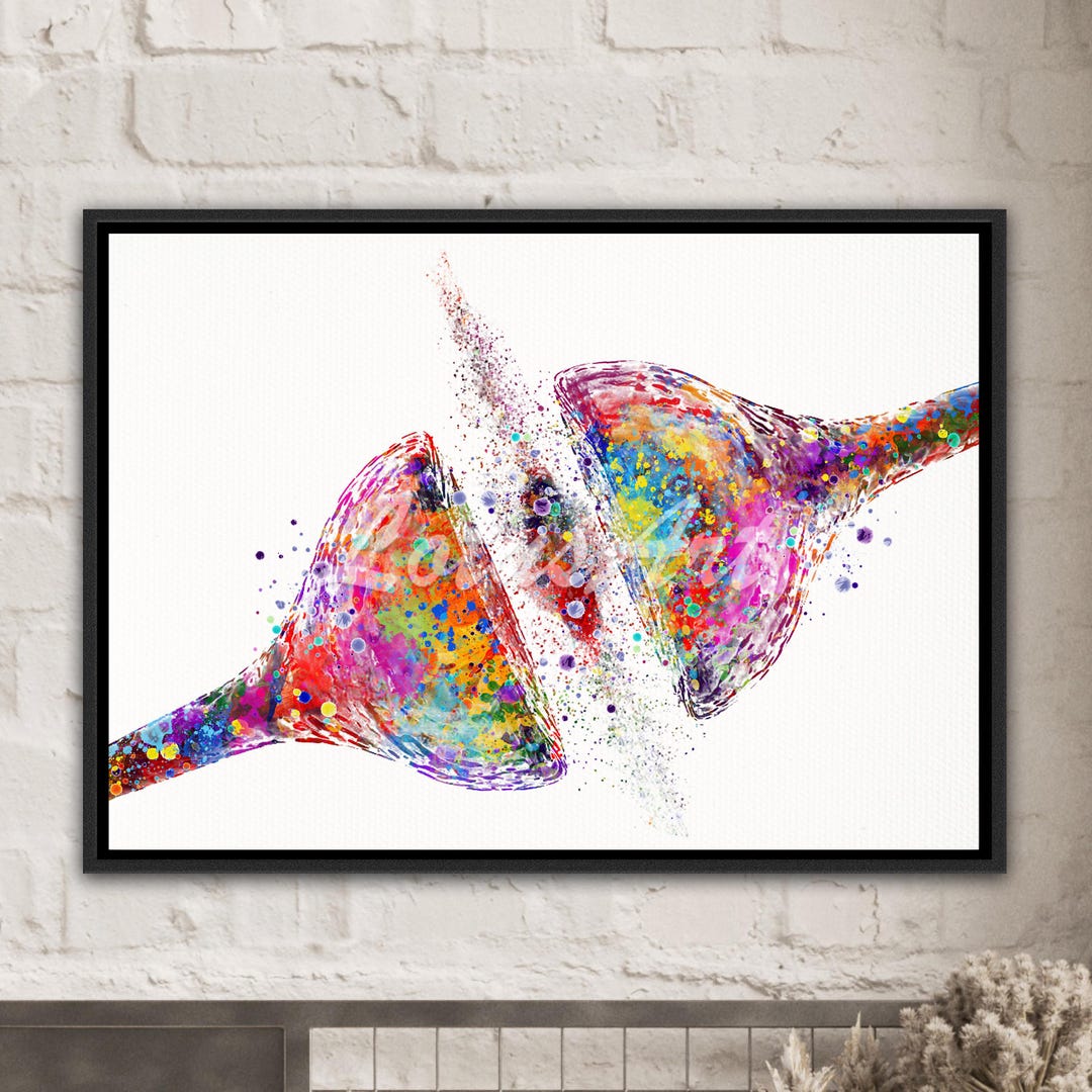 Synapse Receptor Brain Nerve Cell Anatomy Art Canvas Print Doctor ...