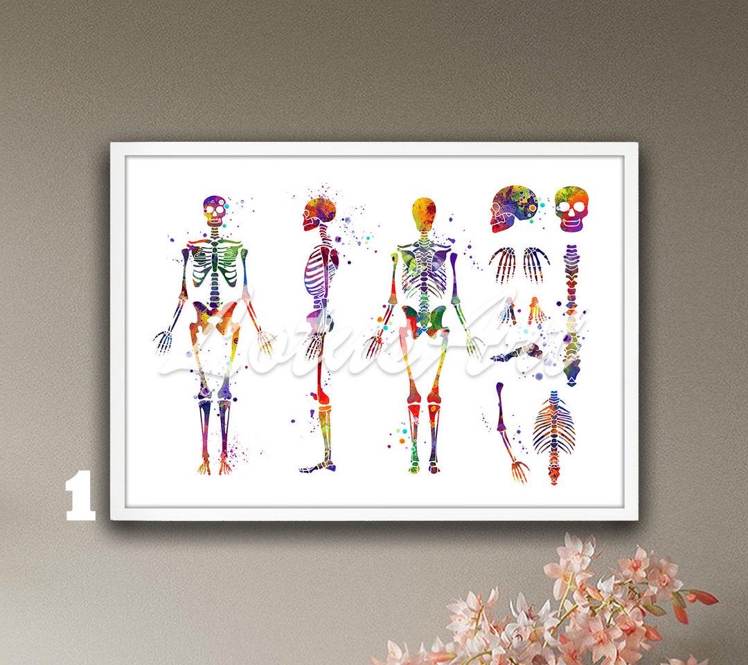 Human Skeleton Anatomy Framed Art Medical Print Watercolor Anatomical ...