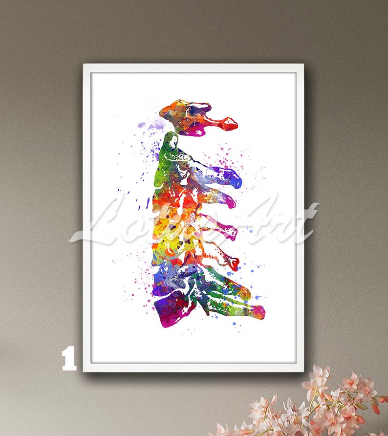 Cervical Vertebrae Watercolor Print: Anatomy Art, Doctor Gift - Etsy