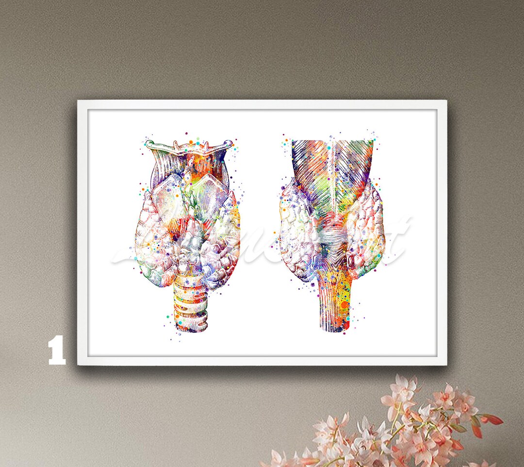 Thyroid Gland Watercolor Anatomy Art Print: Doctor Office Decor - Etsy