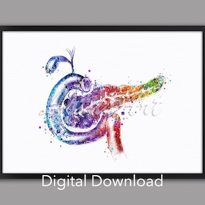 DIGITAL DOWNLOAD Pancreas Anatomy Art Digestive System Organs ...