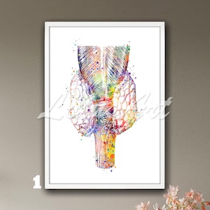 Thyroid Gland Poster Anatomy Art Print Endocrinologist Medical Framed ...