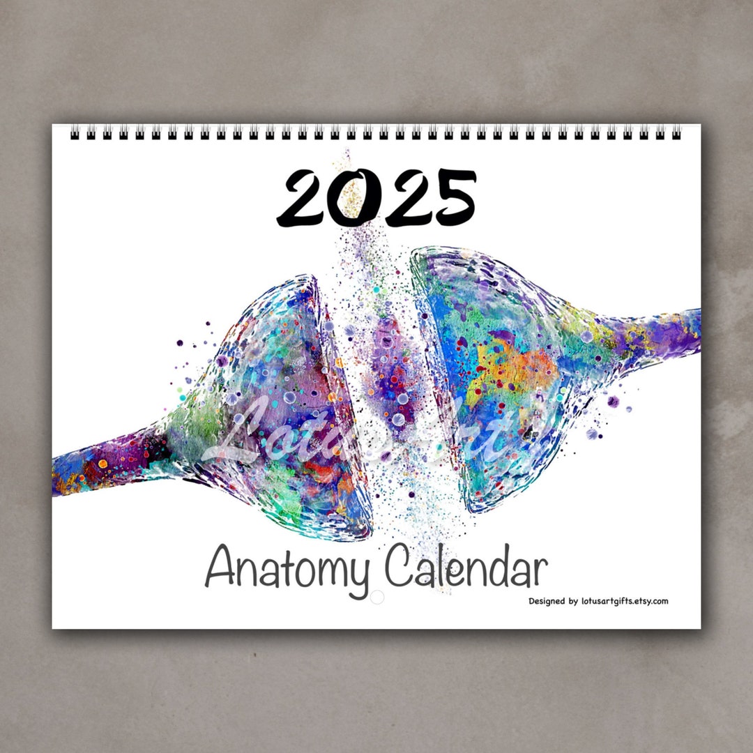 Wall Art Calendar 2025 Anatomy Wall Planner Medical Clinic Decor ...