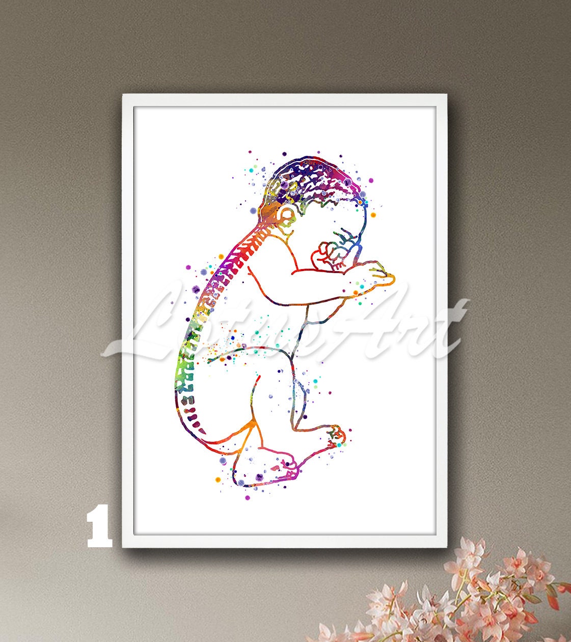 Baby Spine Anatomy Watercolor Print: Medical Art Gift - Etsy