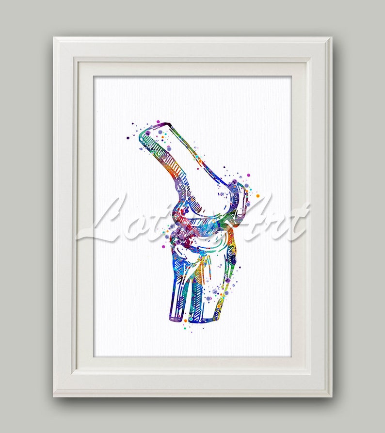 Knee Joint Art Print Anatomy Medical Watercolor Wall Decor - Etsy