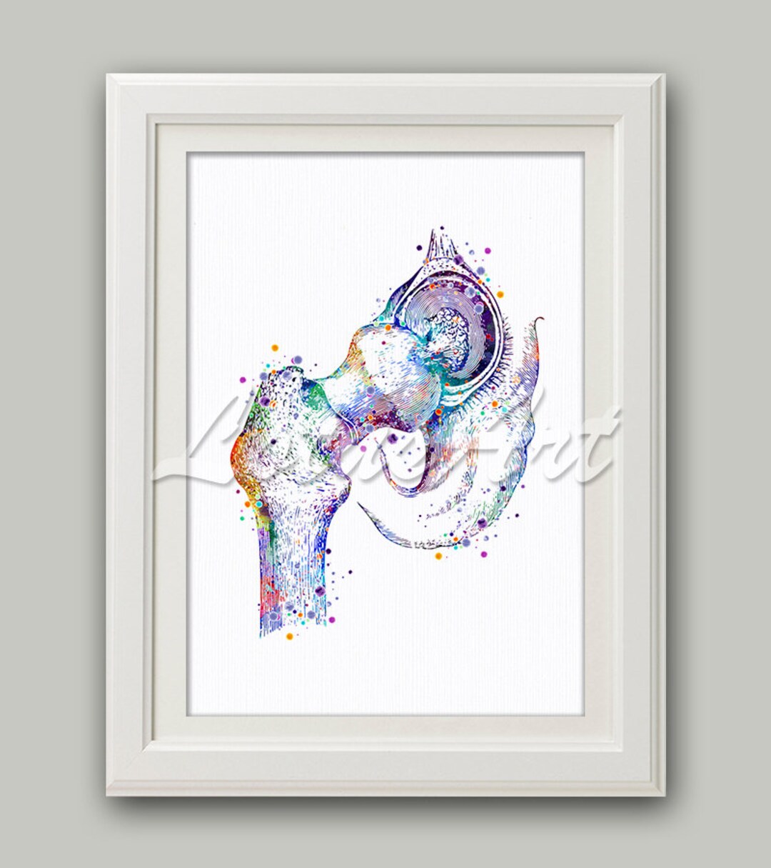 Hip Joint Wall Decor Medical Anatomy Watercolor Print Science - Etsy