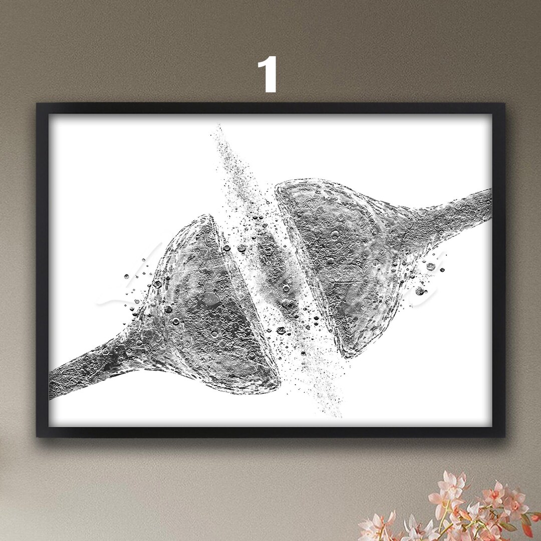Synapse Silver Gray Wall Art Print: Anatomy Brain Neurons Cell Poster ...