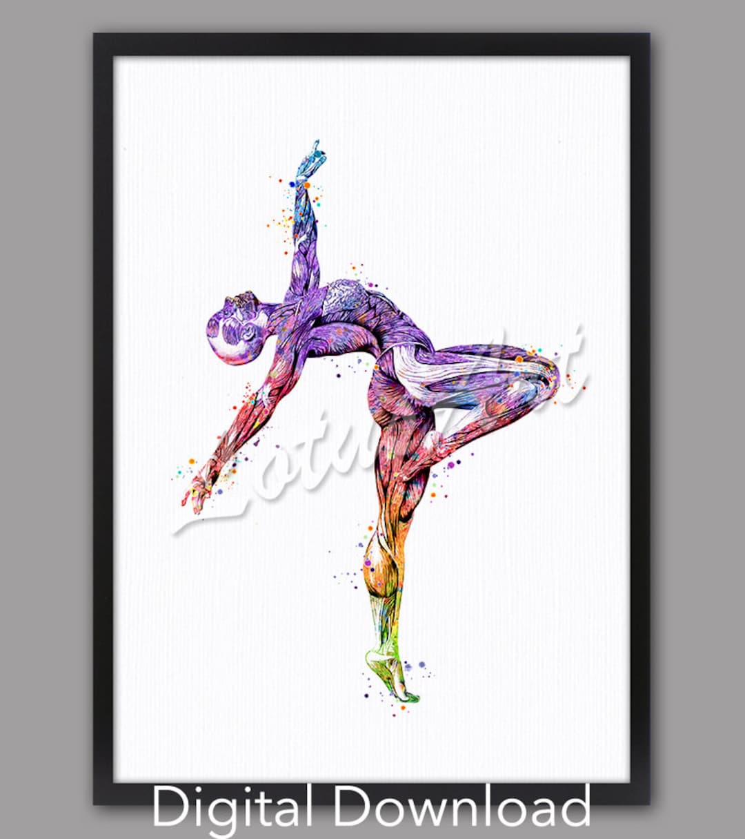 Gymnastics Muscles Watercolor Print: Anatomical Wall Art (digital ...