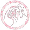 Random Trivia #2//fun Quiz//printable Trivia//random Trivia - Etsy UK