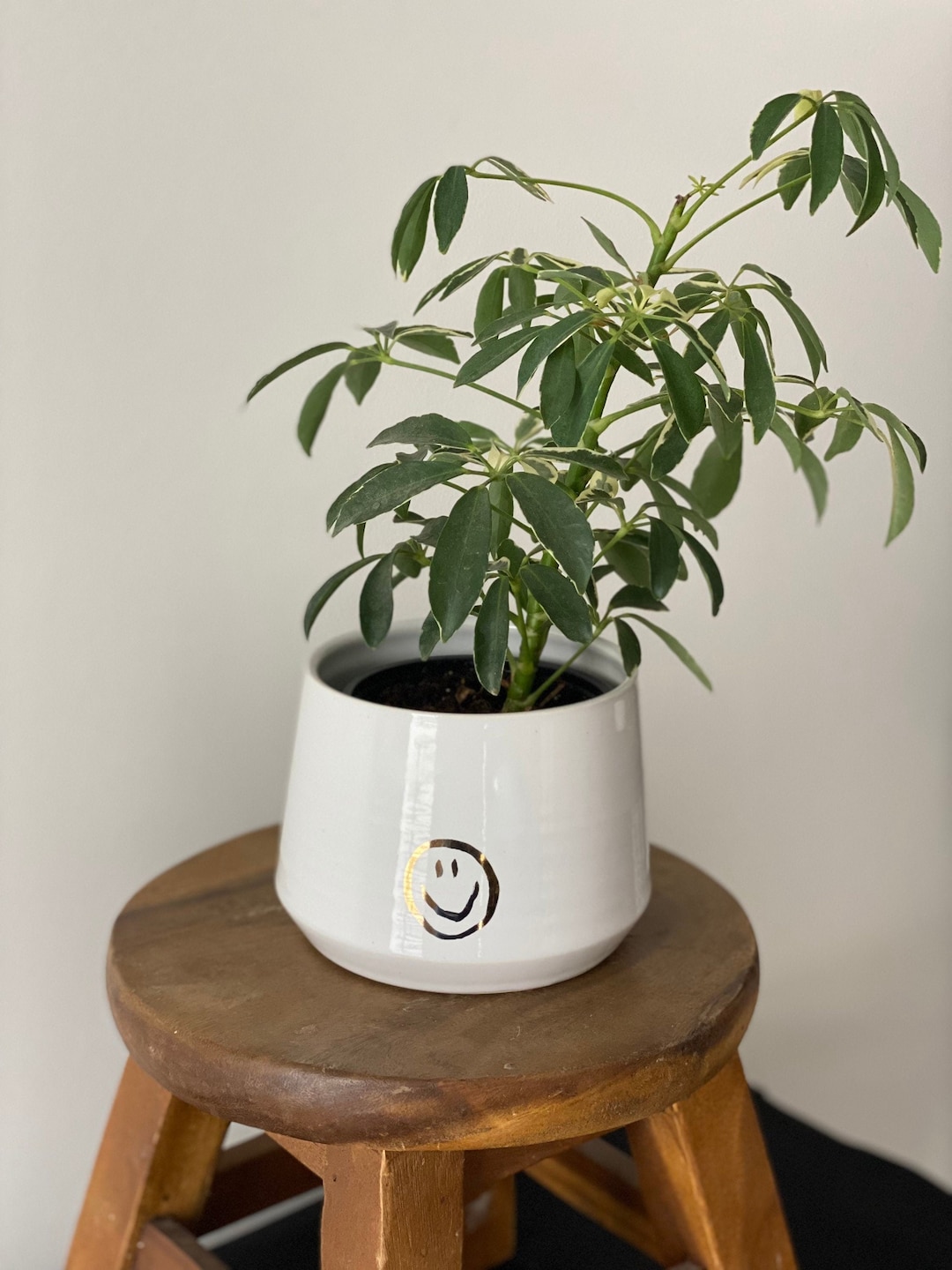 Pepo Ceramics Smile Face Planter Gloss White and 22k Gold Luster - Etsy