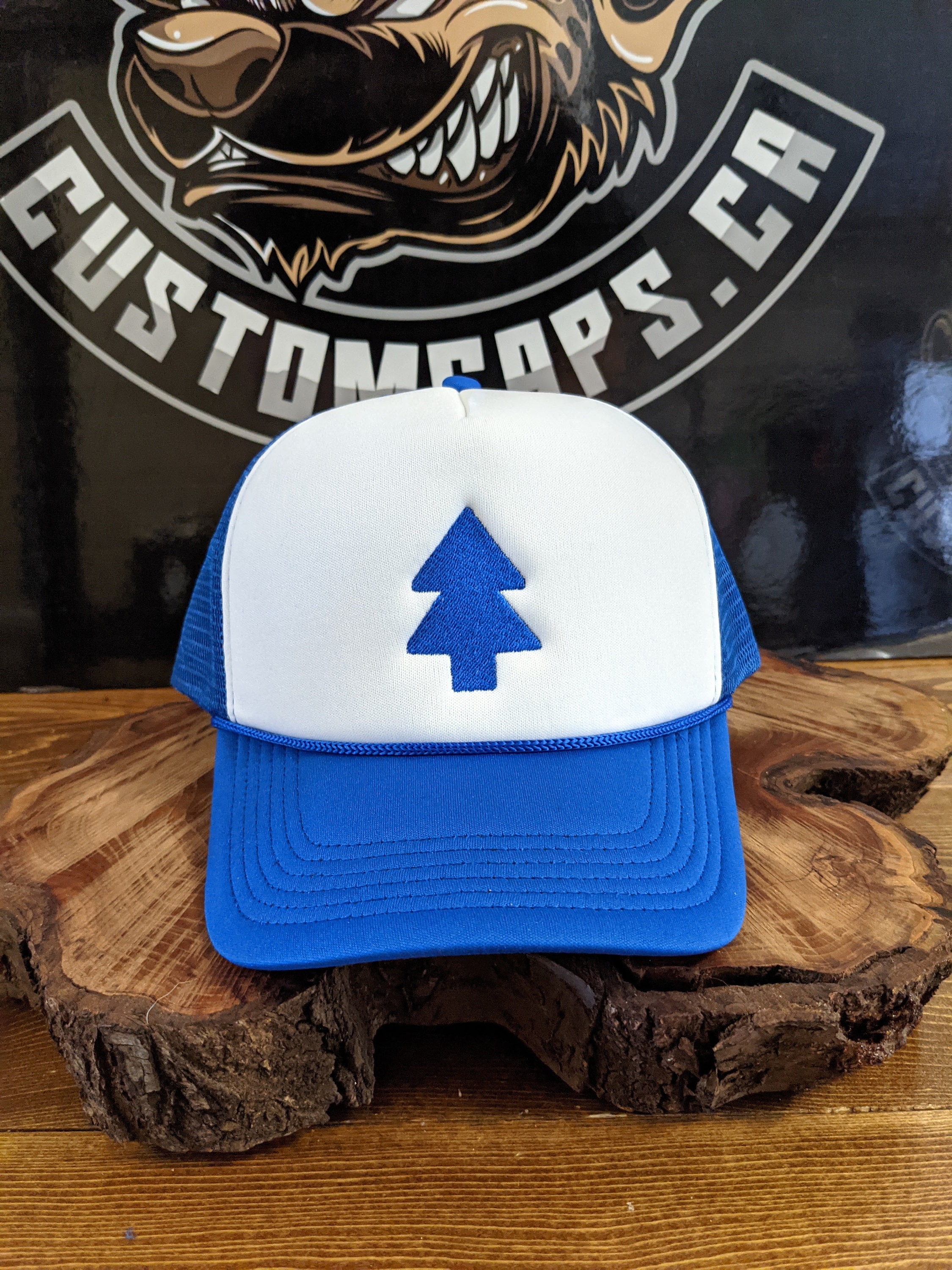 Dipper Gravity Falls Hat