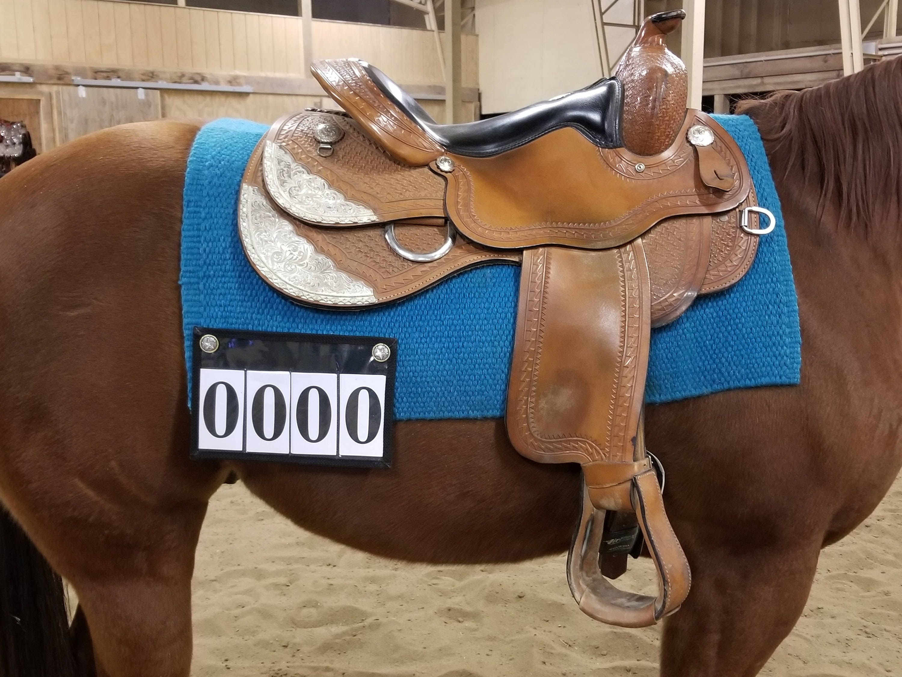 Horse Show Western Saddle Pad Numbers | Etsy