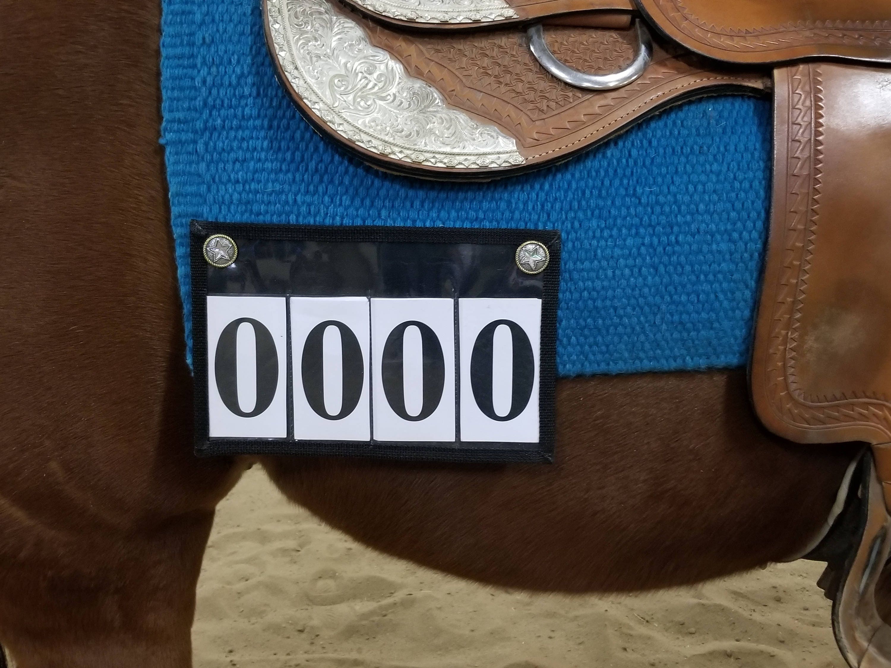 Horse Show Western Saddle Pad Numbers - Etsy