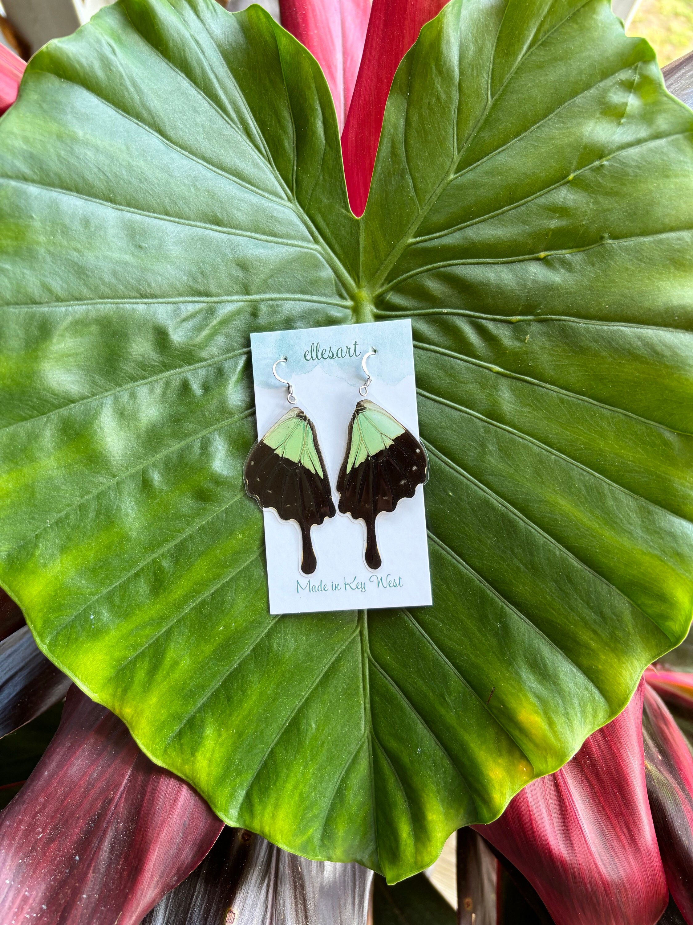 Papilio Phorcas - Real Butterfly Wing Laminated Earrings - Jewelry ...